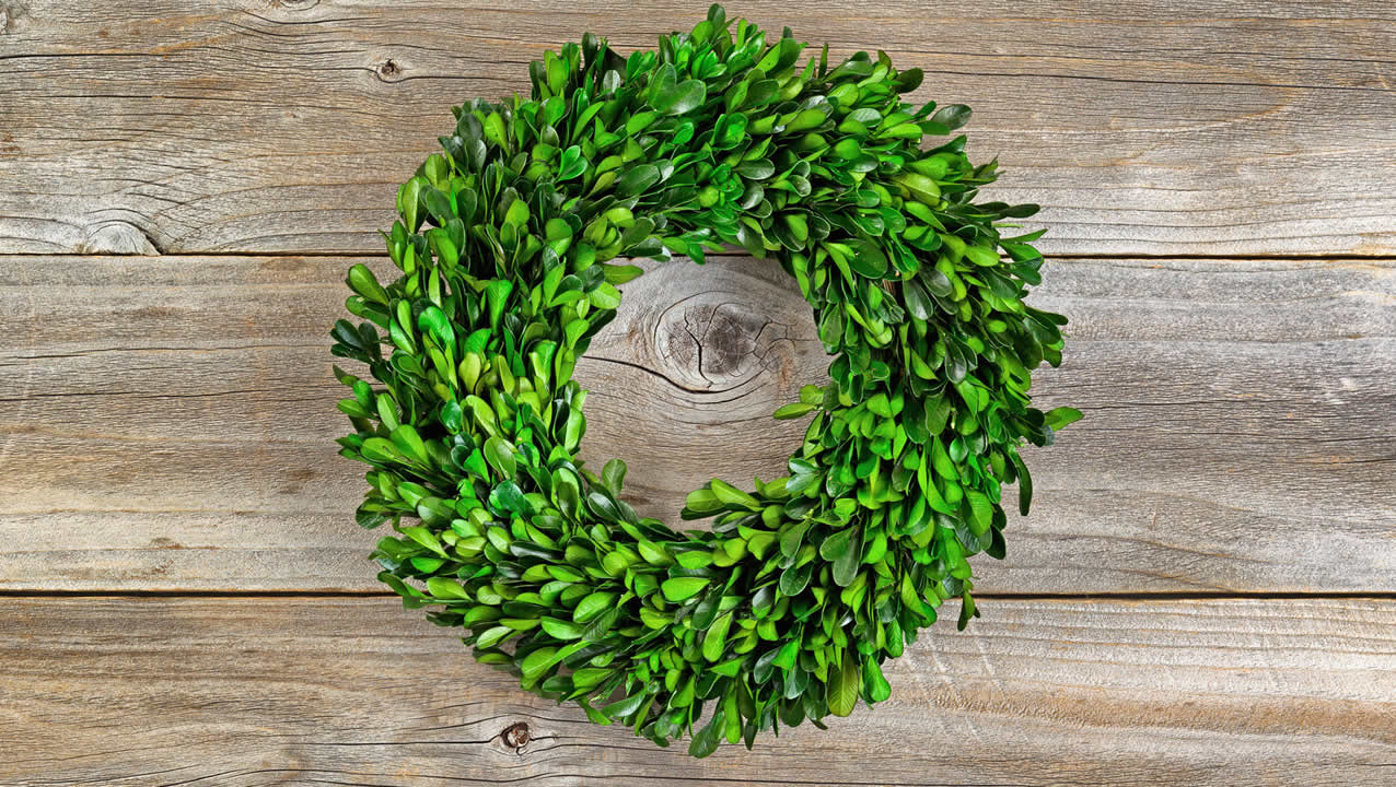 A Guide to Enhance Your Interior Design with Beautiful Wreaths